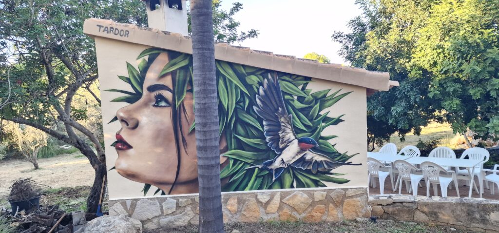 Ideas para Murales en Casa: Transformando tus Espacios